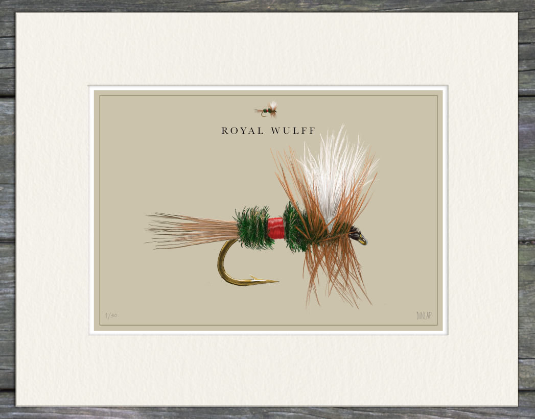 Royal Wulff Print | Dun & Dun